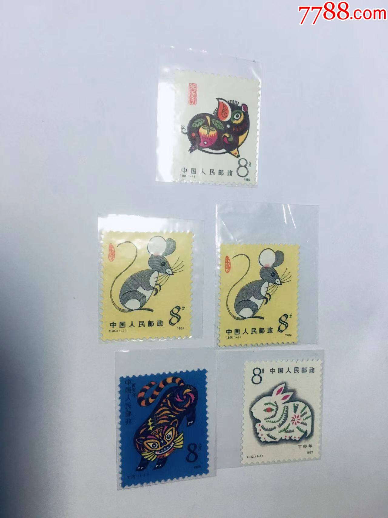 T80猪_“T”字邮票_火红钱币【7788收藏__收藏热线】