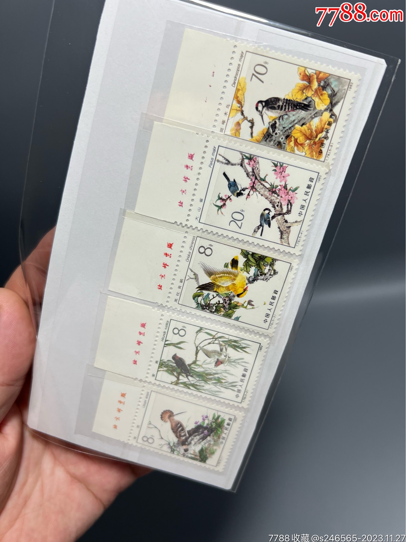 T79益鸟_“T”字邮票_茅庐高人【7788收藏__收藏热线】