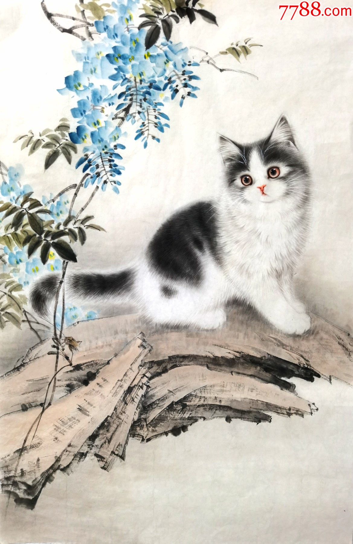 天来堂 当代猫王秦文轩 小品工笔小猫_花鸟国画原作_天来堂中国山水画【7788收藏__收藏热线】