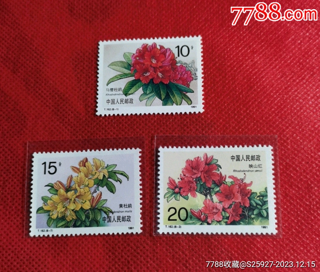 【漳】（冲冠一元起）【藏海阁散票王】T162.杜鹃花（全套前三枚）合拍_新中国邮票_图片价格_收藏鉴定_7788钱币网