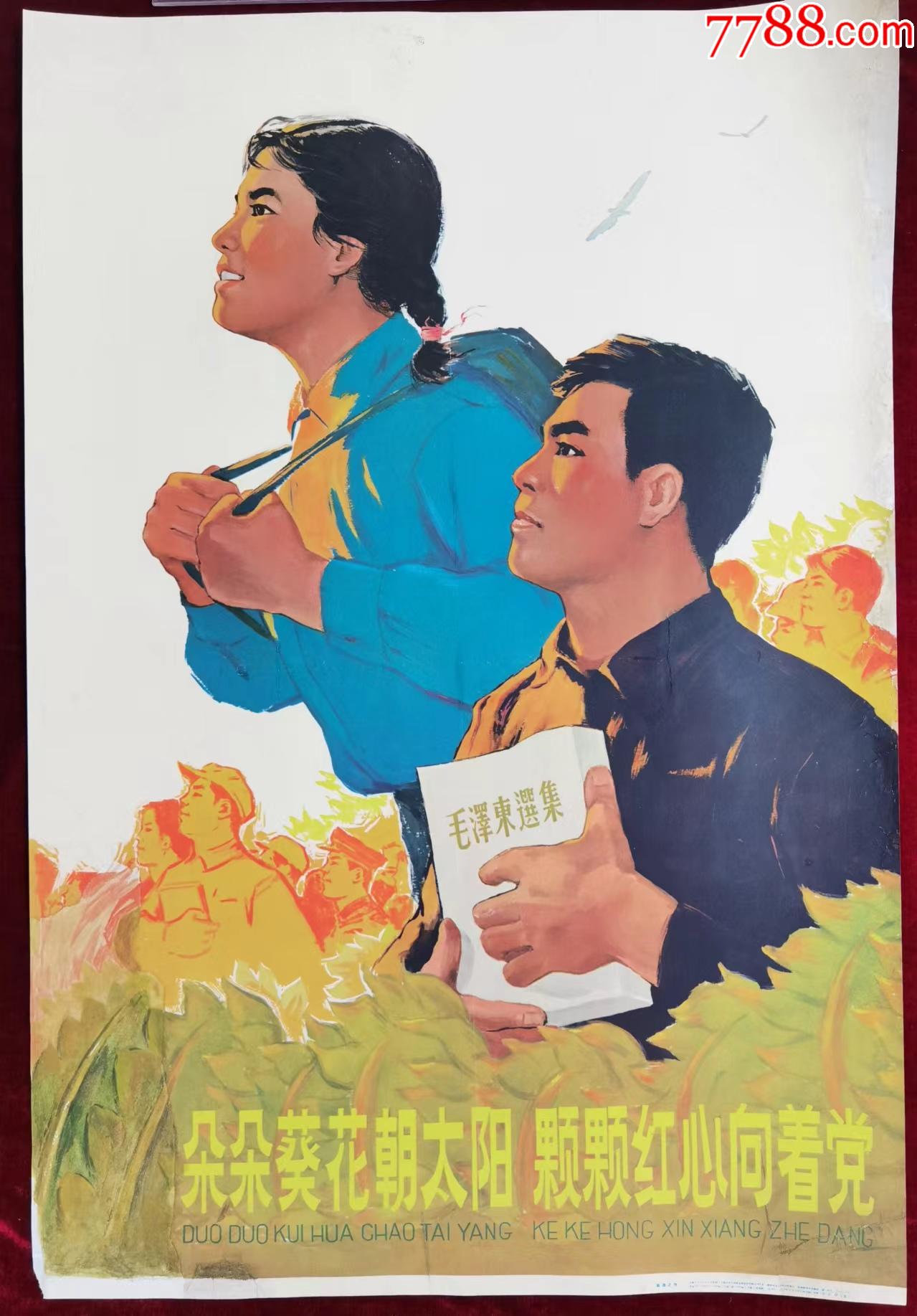 朵朵葵花朝太阳颗颗红心向着党=知青题材_宣传画_沧桑起风情【7788收藏__收藏热线】