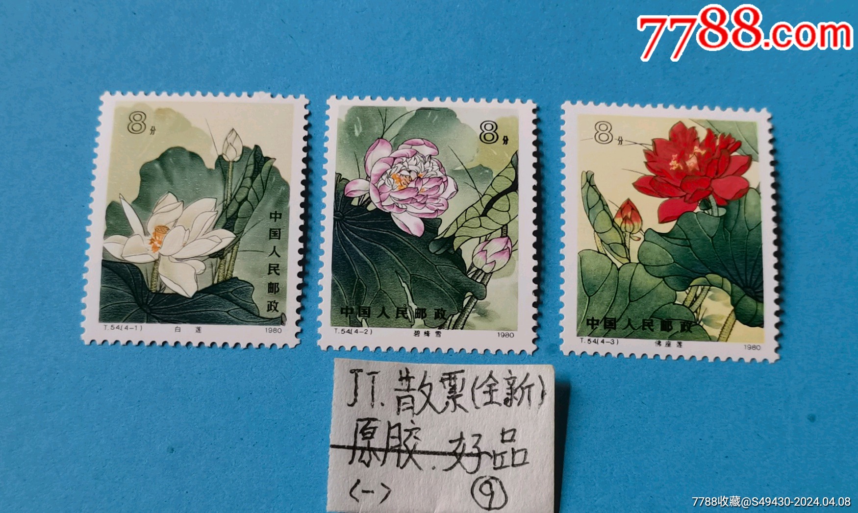 JT散票（新票原胶上品）-新中国邮票-7788商城__七七八八商品交易平台(7788.com)