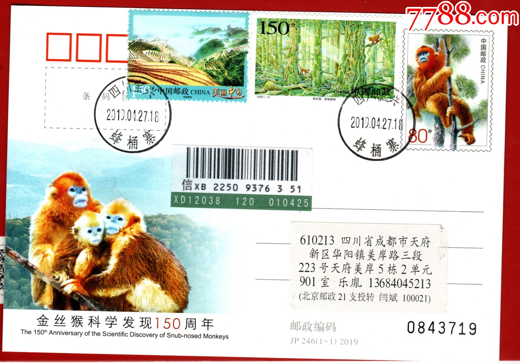 JP246金丝猴科学发现150周年纪念邮资片挂号四川宝兴蜂桶寨实寄_普通明信片_方寸豪语【7788收藏__收藏热线】