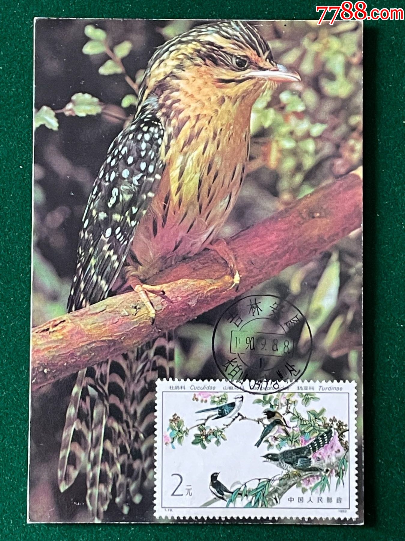 T79-益鸟小型张极限片_普通明信片_封片特别全【7788收藏__收藏热线】