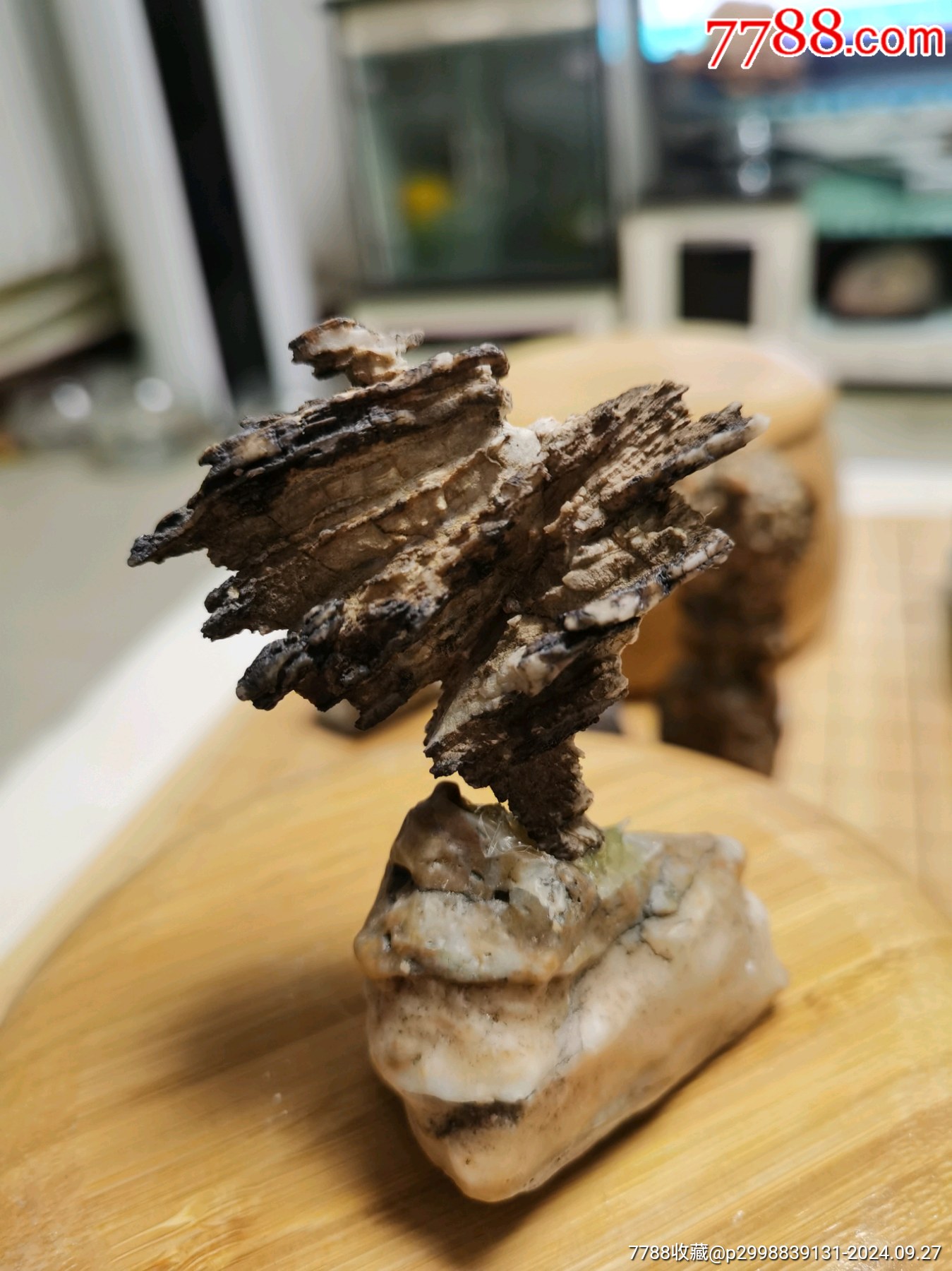 戈壁奇石…亭台楼阁_风砺石/戈壁石_盘缘石【7788收藏__收藏热线】