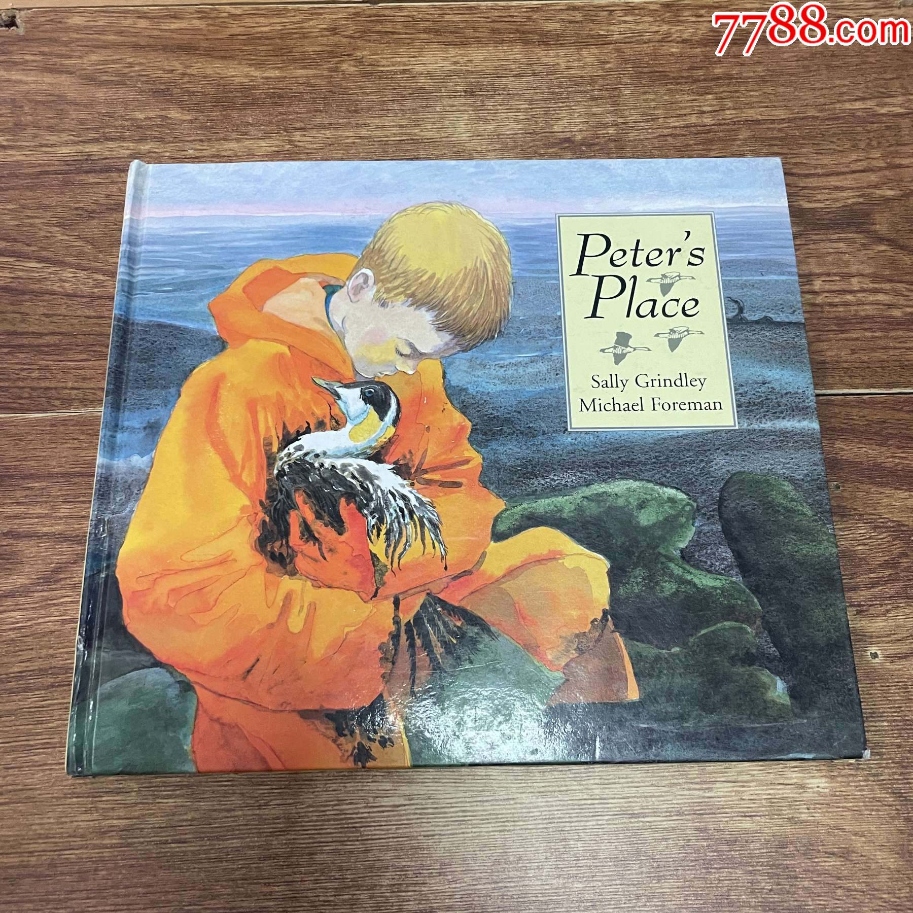 外文原版《Lerefugedepierre》画册具体看图-A67-价格:10元-au39314392-其他印刷品字画 -加价-7788收藏__收藏热线