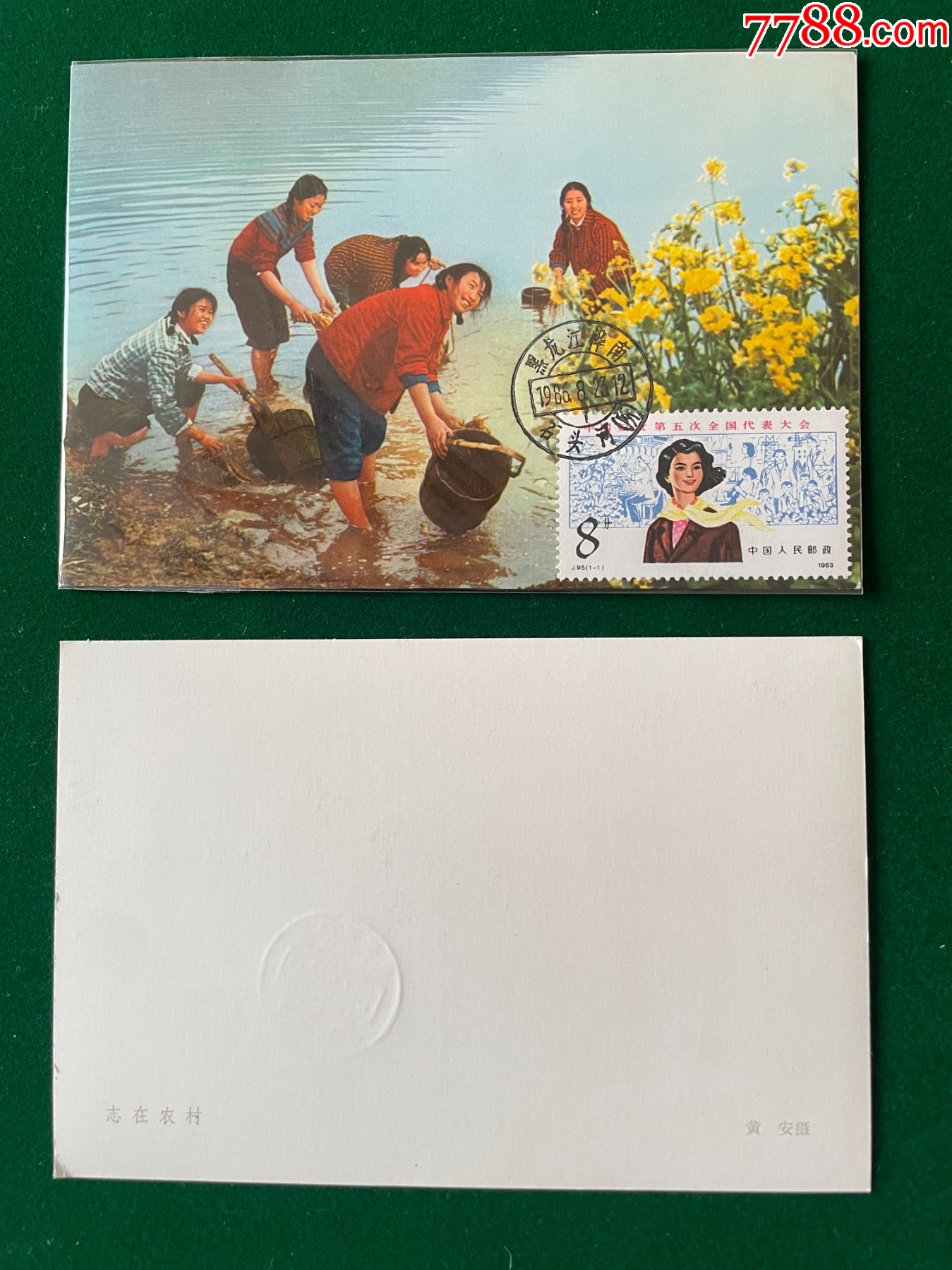 J95-妇女大会极限片__【7788收藏__收藏热线】