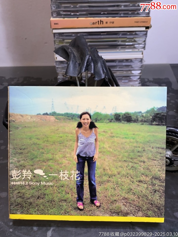 彭羚，一枝花，CD+VCD，92/94新__【7788收藏__收藏热线】