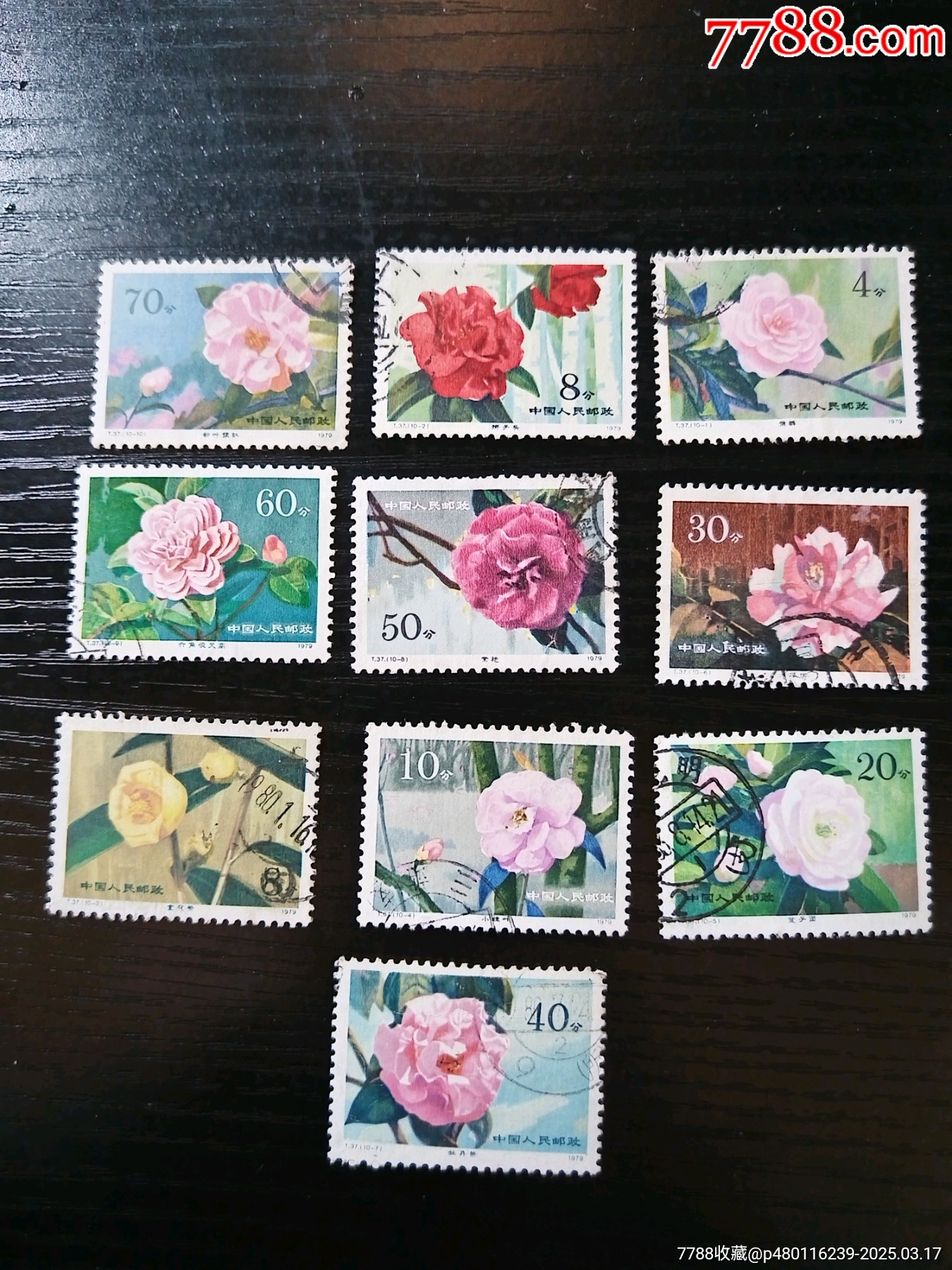 t37山茶花_新中国邮票_收藏行情_回收价格_7788邮票收藏