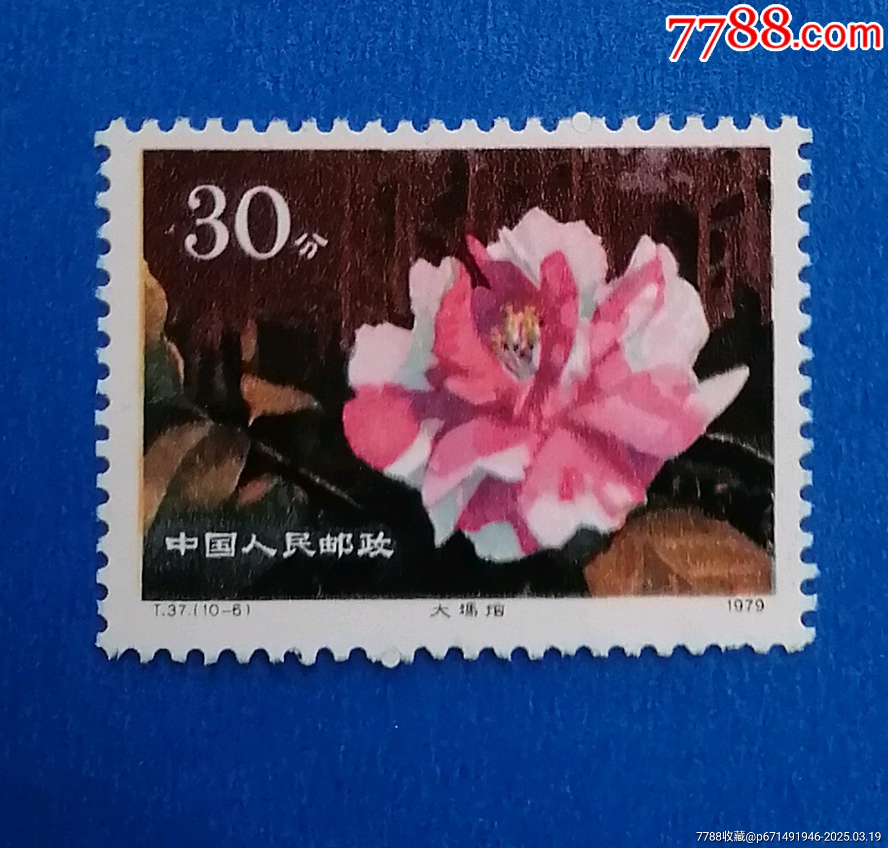 T37_“T”字邮票_低价老邮票【7788收藏__收藏热线】