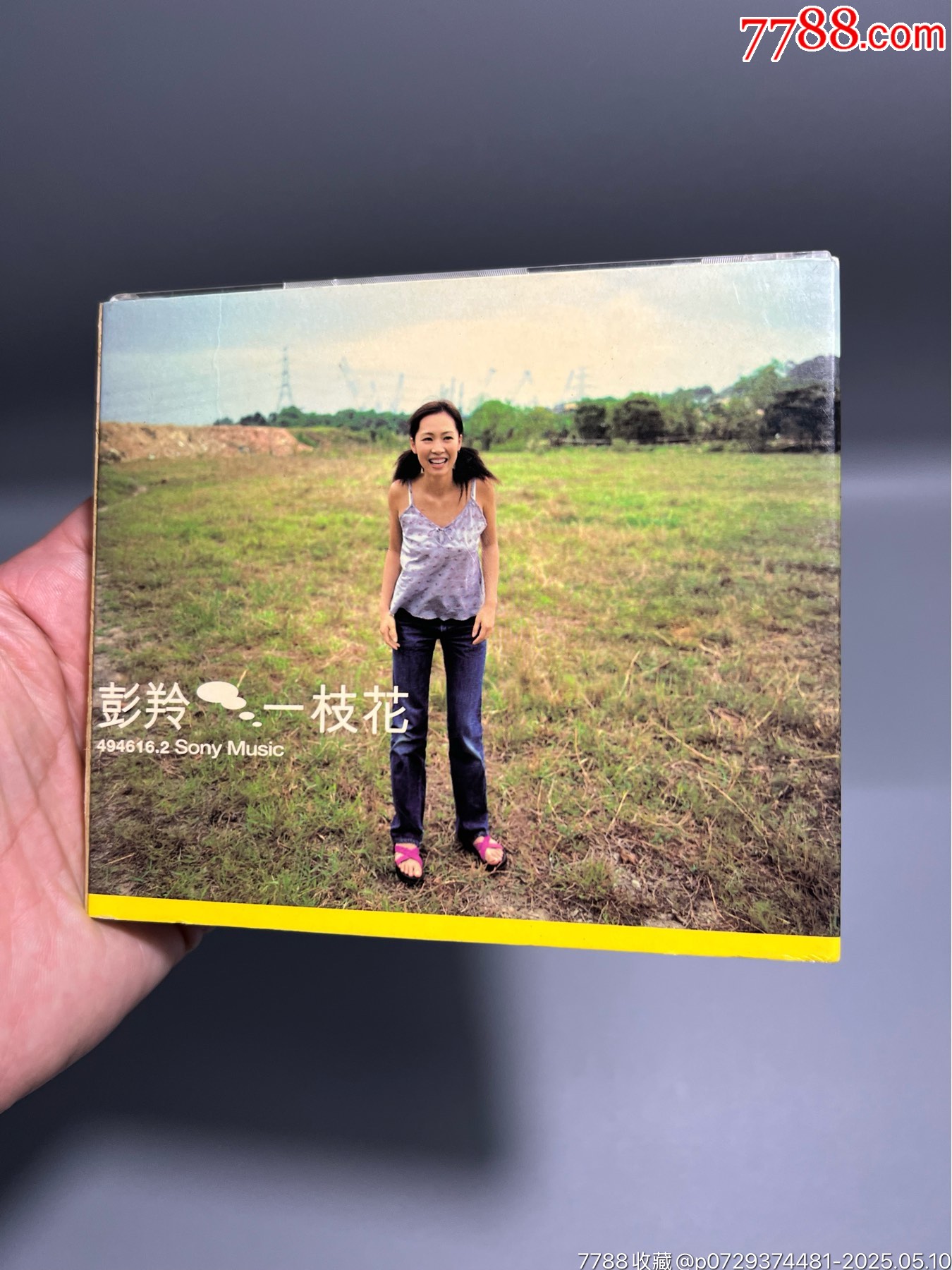 彭羚一枝花（CD+VCD）_音乐CD_茅庐高人【7788收藏__收藏热线】