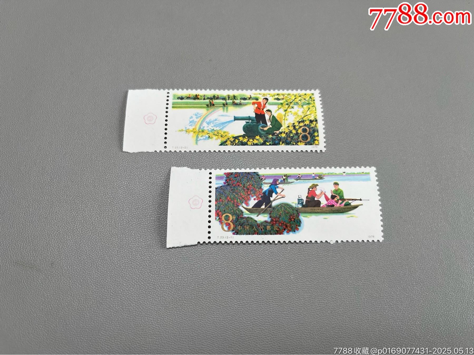 T23军民w__【7788收藏__收藏热线】