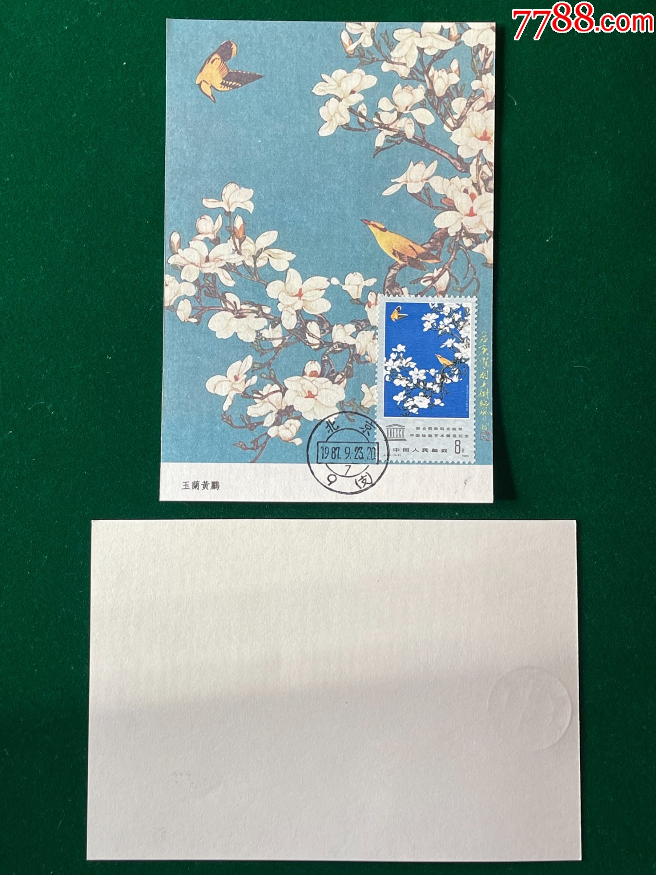 J60-2-玉兰黄鹂图画极限片__【7788收藏__收藏热线】