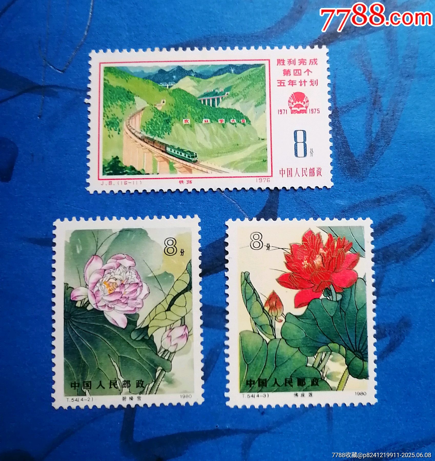 JT新（全品）__【7788收藏__收藏热线】