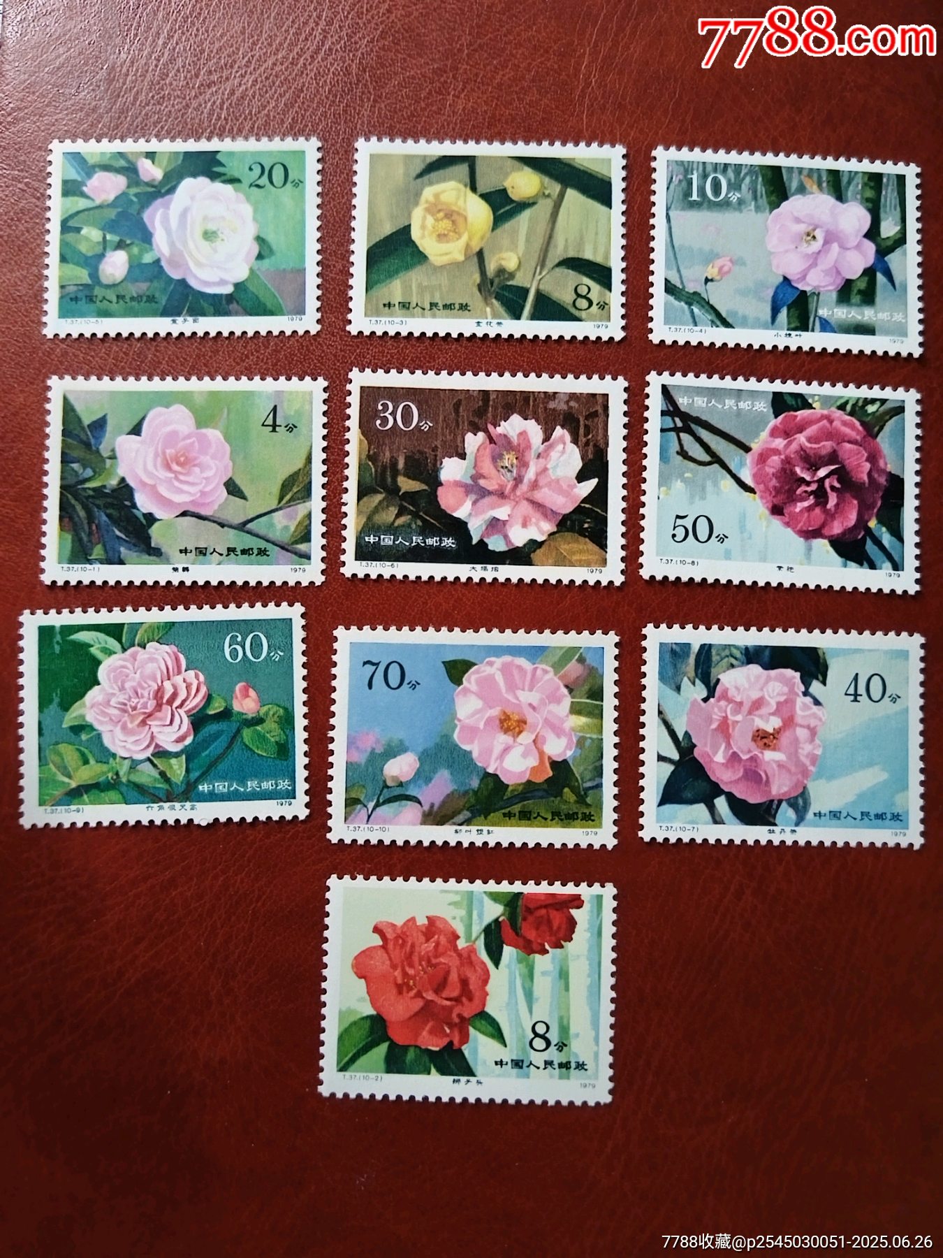t37山茶花_邮趣居【7788商城__七七八八商品交易平台(7788.com)】